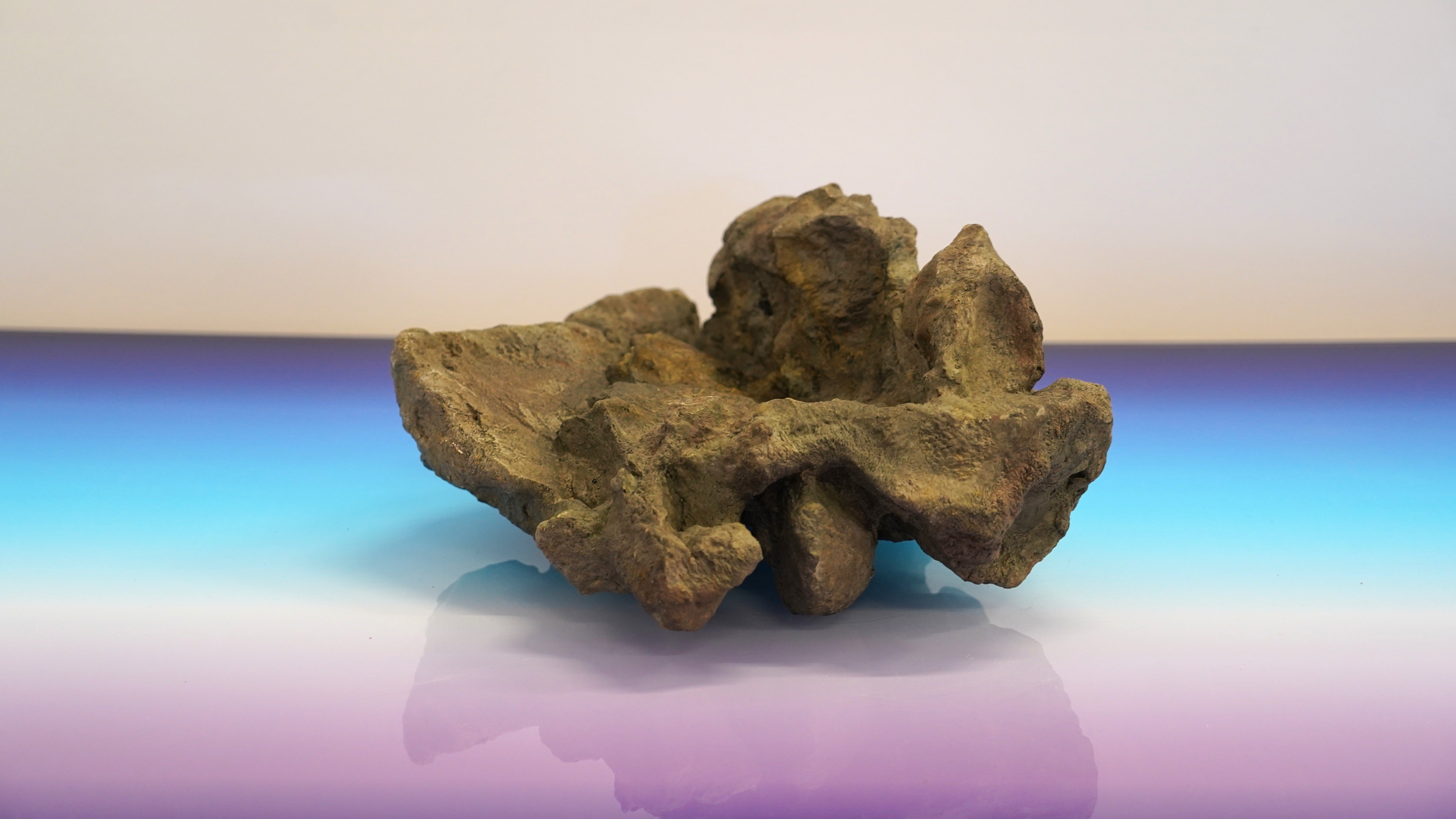 KOMODO STONES – NEW WAVE concepts